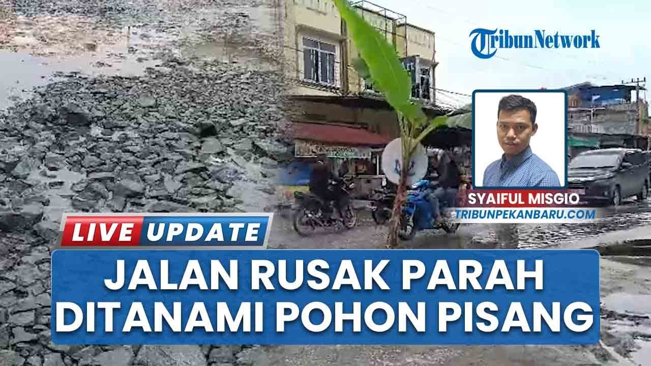 Warga Pekanbaru Kesal Jalan Rusak Bertahun-Tahun Tak Kunjung Diperbaiki, Nekat Tanami Pohon ...