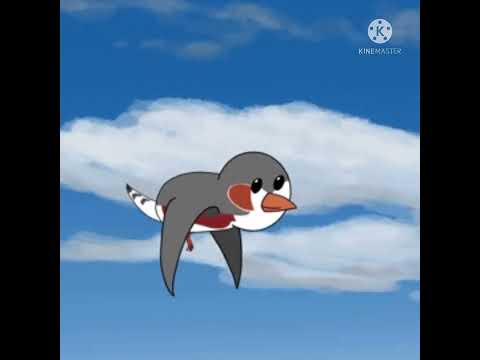 "A Little Birdie came"