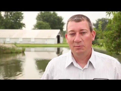 Meiring Poultry Farm - USPOULTRY Family Farm Environmental Excellence Award Winner