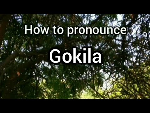 How to Pronounce Gokila
