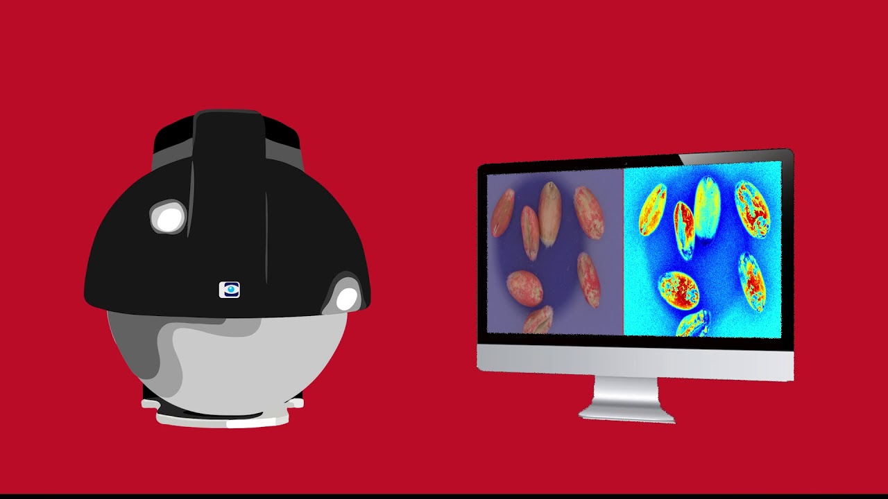 Seed and Grain Analysis  by Multi Spectral Imaging