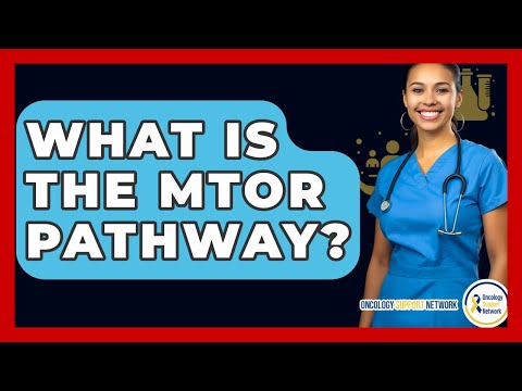 What Is The MTOR Pathway? - Oncology Support Network
