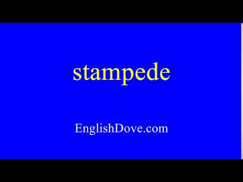 How to pronounce stampede in American English.