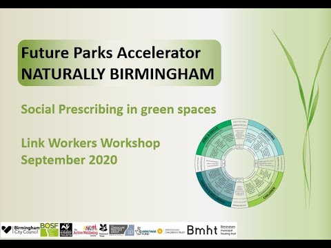 Social Prescribing Link Workers