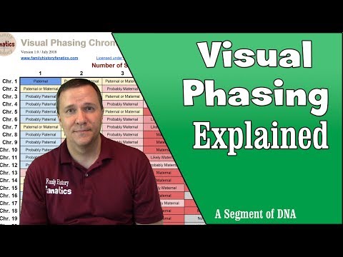 Visual Phasing: A Free Tool to Your Genetic Genealogy Research