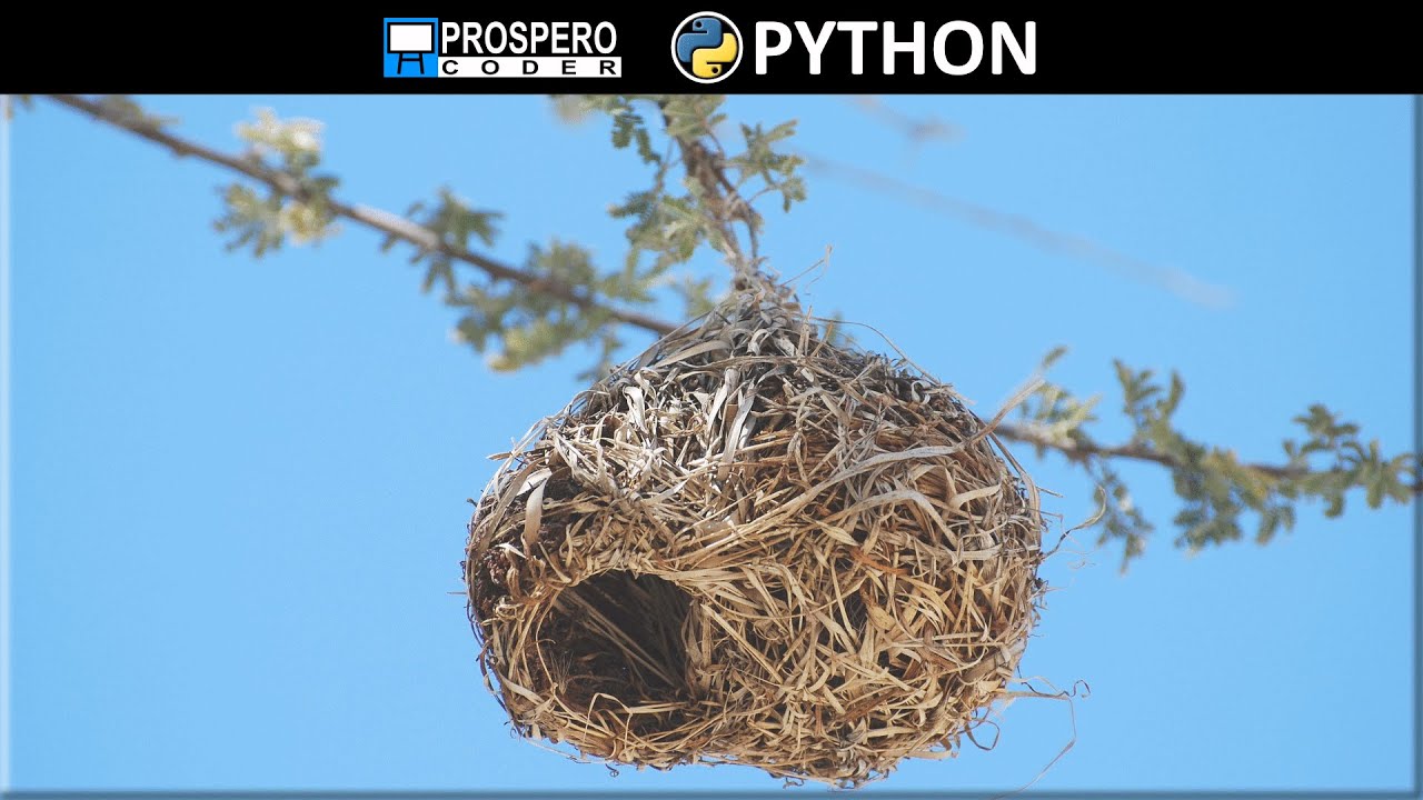 Nested Lists and Dictionaries in Python