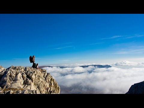 How to Describe Your Nonprofit Vision