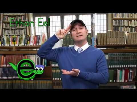 The Letter E: Ethan Eel