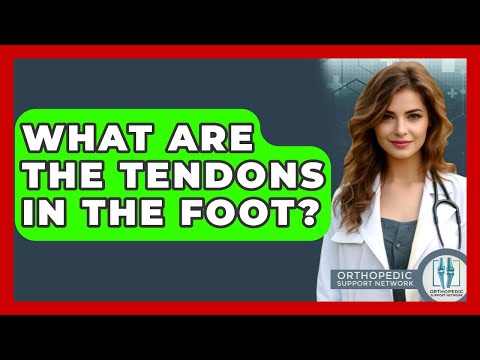 What Are The Tendons In The Foot? - Orthopedic Support Network