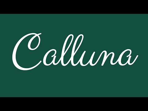 Learn how to Sign the Name Calluna Stylishly in Cursive Writing