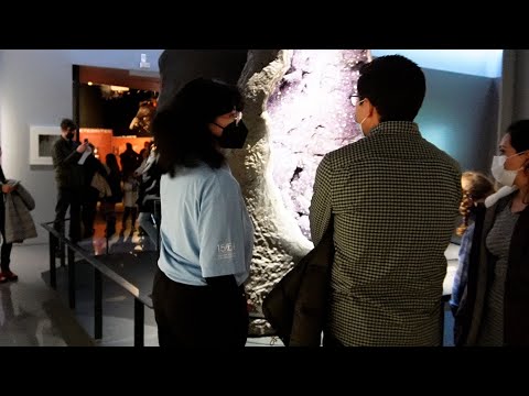 Transforming Lives: Museum Education & Employment Program (MEEP)- American Museum of Natural History