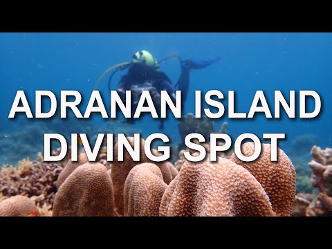 Desa Wisata Dullah Laut