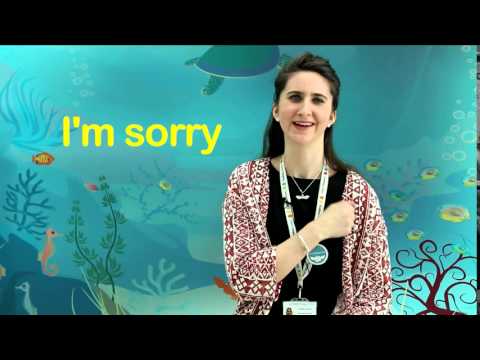 British Sign Language BSL Video Dictionary - Im sorry