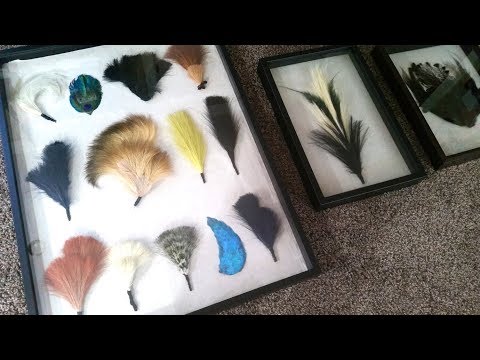 Display Collections in Shadow Boxes to Create Home Decor Art