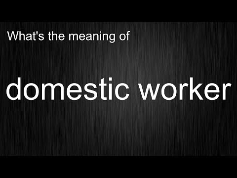 What's the meaning of "domestic worker", How to pronounce domestic worker?