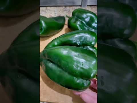 Easy Way to Roast Poblano Peppers #shorts30