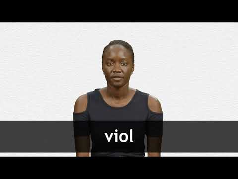 English Translation of “VIOL” | Collins French-English Dictionary