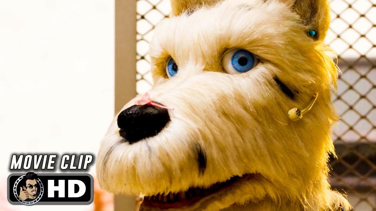 I Don't Know Why I Bite Scene | ISLE OF DOGS (2018) Movie CLIP HD