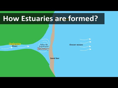 How Estuaries are formed | Coastal Estuary (sandbar) | Geography terms