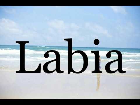 How To Pronounce Labia๐๐๐๐๐๐Pronunciation Of Labia