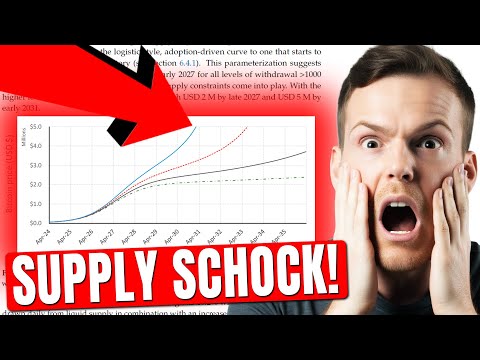 NEUE BITCOIN STUDIE zeigt SCHOCKIERENDE Prognose!!!