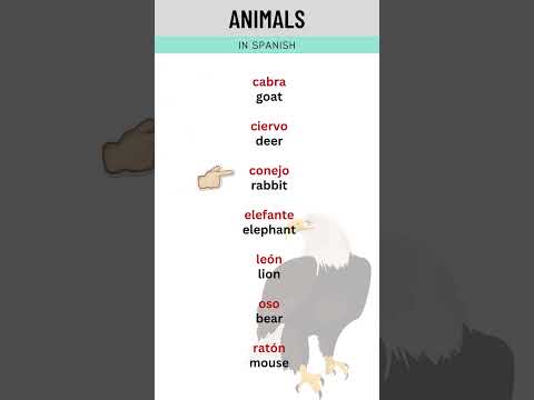 animals in spanish...