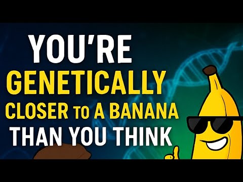 “You’re Genetically Closer to Bananas Than You Think” #funfact