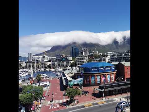 Two Oceans Aquarium, V & A Waterfront, Cape Town webcam Live Stream started 21Jun25