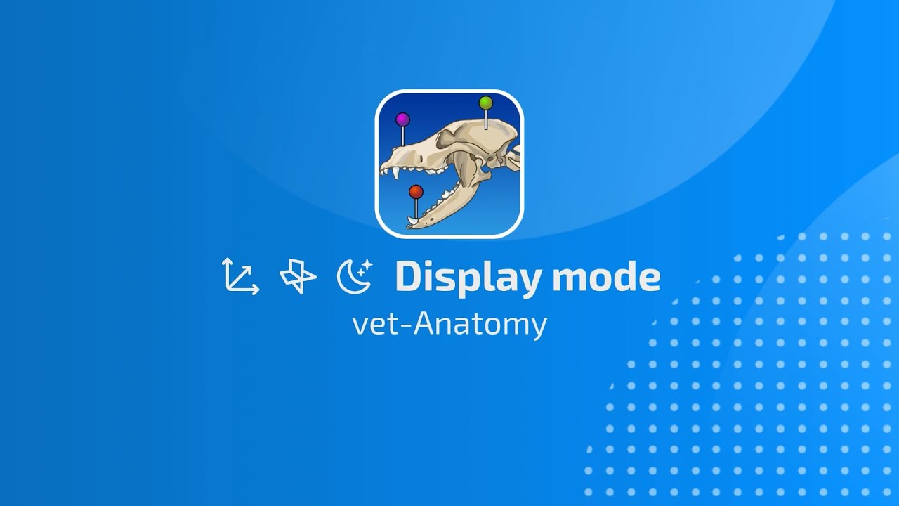 vet-Anatomy: Display Mode