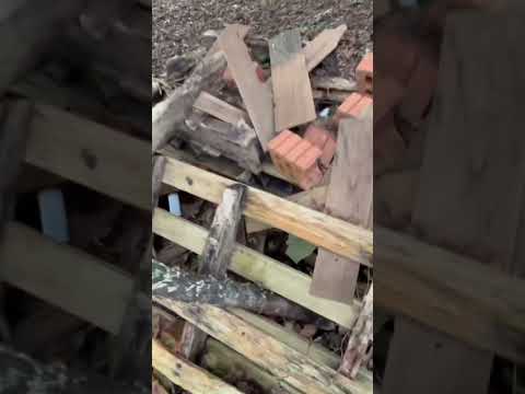 Bug hotel @ Oysters Coppice