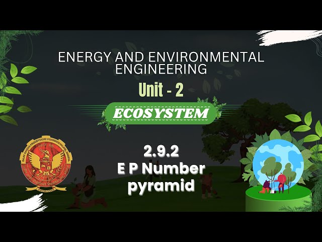 Understanding the Number Pyramid in Ecological Systems | Galaxy.ai
