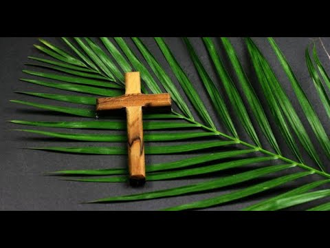🌿 Palm Sunday: What Does Waving Branches REALLY Mean for Us Today?
