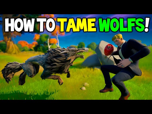 Where to find wolves in Fortnite: Locations, taming guide, and more