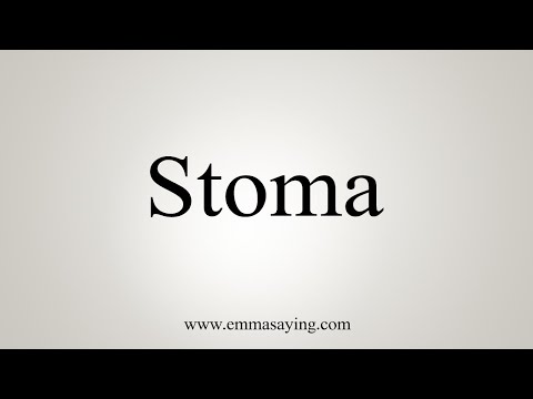 How To Say Stoma
