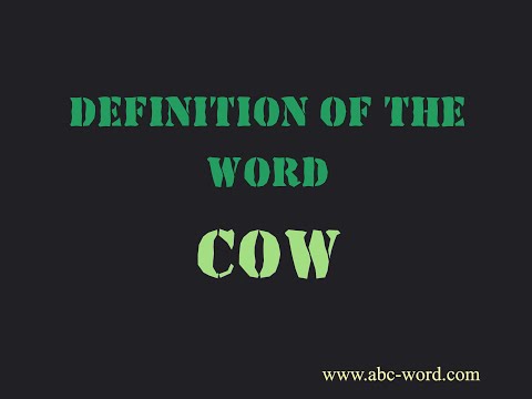 Definition of the word "Cow"
