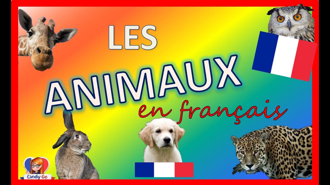 ANIMALES EN FRANCÉS 🐶🐱LES ANIMAUX EN FRANÇAIS!🐻🐭 PETS IN FRENCH