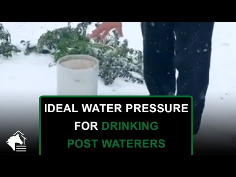 🚰 What’s the Ideal Water Pressure (PSI) for Drinking Post Waterers?
