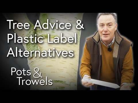 Plastic Plant Label Alternatives & Tree Care Advice - Pots & Trowels