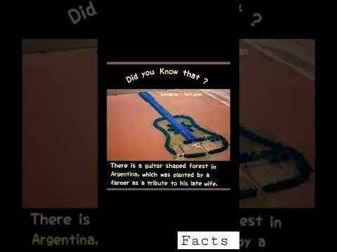 amazing facts|| you must know