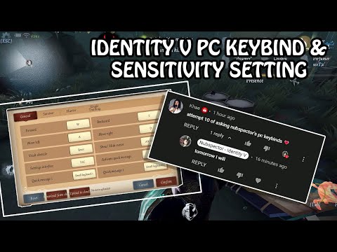 Best PC Keybind settings - Identity v