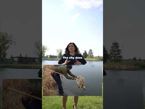 Fishing Lake park Gillette Wy
