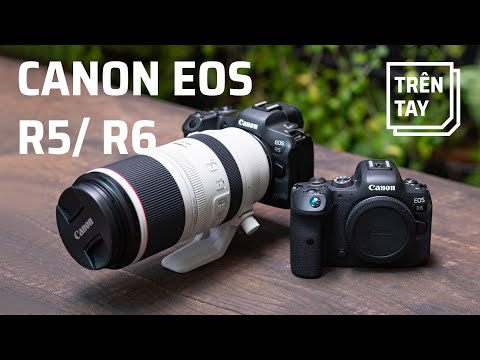 キヤノン、インドで新型ミラーレスカメラ EOS R5 および R6 を発売 - IT基礎