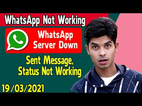 WhatsApp Not Working | Status, Last Seen, Sent Message Problem | TechTorial