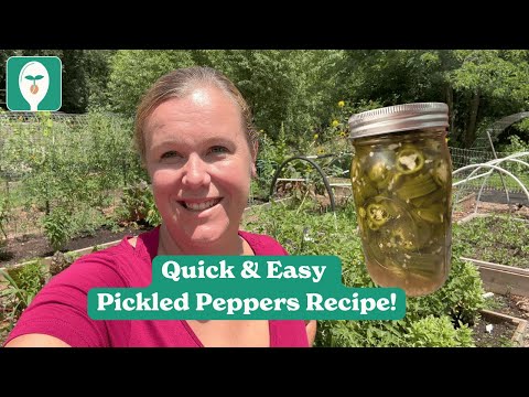 Quick & Easy Pickled Peppers! – From Seed to Spoon Vegetable Garden ...