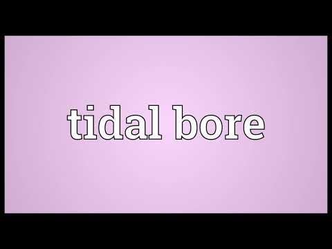 Tidal bore Meaning | Wordogram