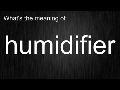 Think You Know How to Say and Use "humidifier"? Think Again!