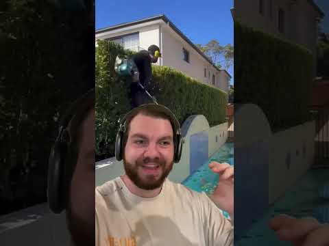 How would you price this crazy bush trimming job? Seems way too difficult!