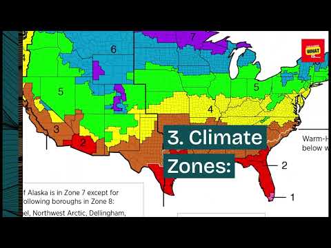 What is the difference between the Northern and Southern Hemispheres?