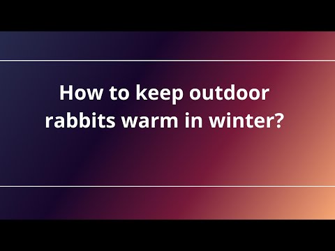 How to keep outdoor rabbits warm in winter?