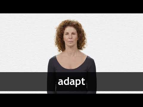 ADAPT definition in American English | Collins English Dictionary